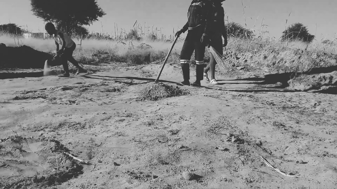 Preparing Mahangu millet after harvest - YouTube