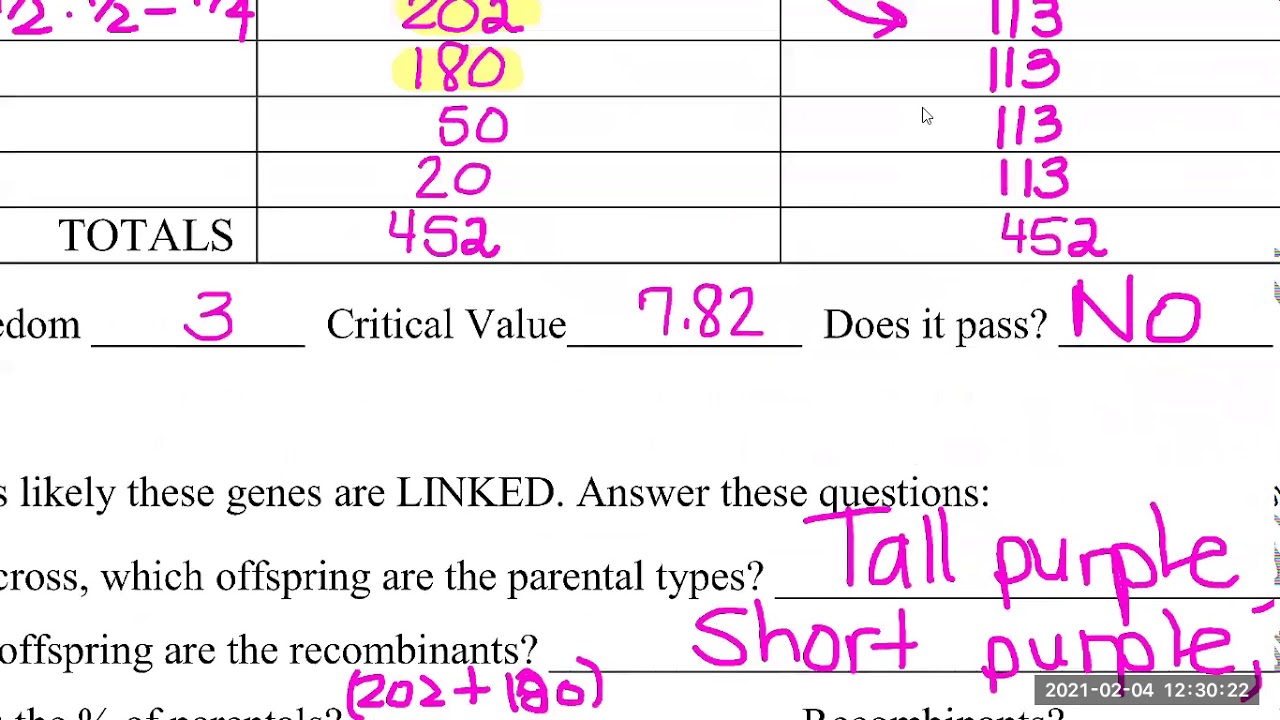 2-4 Linked Genes Chi Square Problem - YouTube