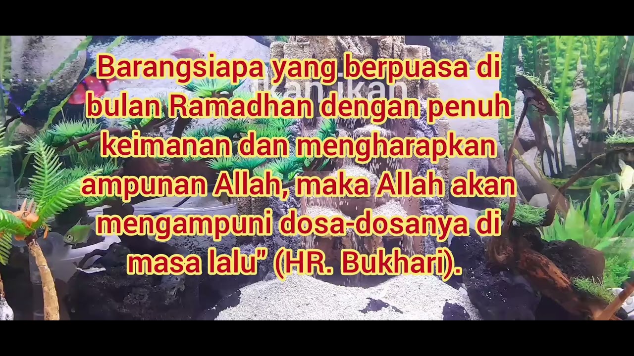 hadist puasa ramadhan - YouTube
