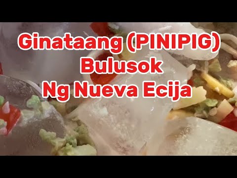 GINATAANG (PINIPIG) BULUSOK NG NUEVA ECIJA - YouTube