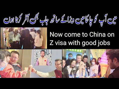 welcome to China || on Z visa with good jobs || - YouTube