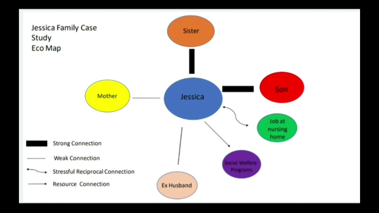 Applying Theory to Case Study - YouTube