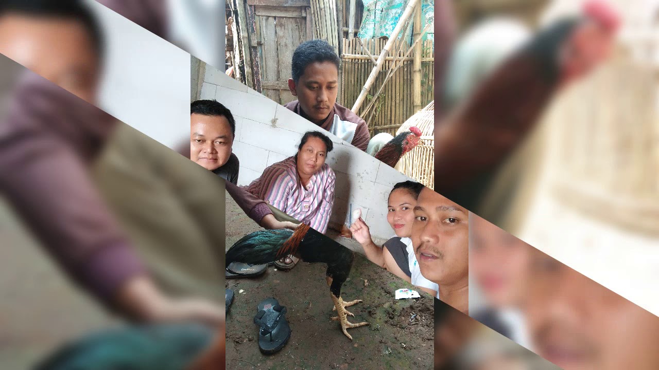 cibungbulang bogor - YouTube