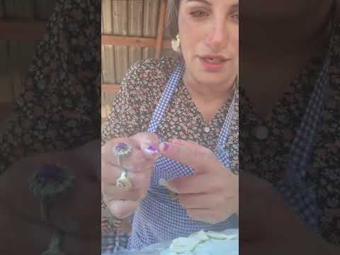 Gülxanım Kəndə Köçdü Ləzzətli Qutab Bişirdi🥗