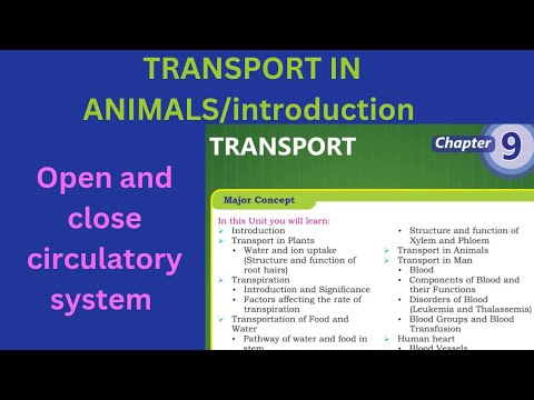 TRANSPORT IN ANIMALS/INTRODUCTION/CHAPTER 9 TRANSPORT/CLASS 9 BiOlOGY ...