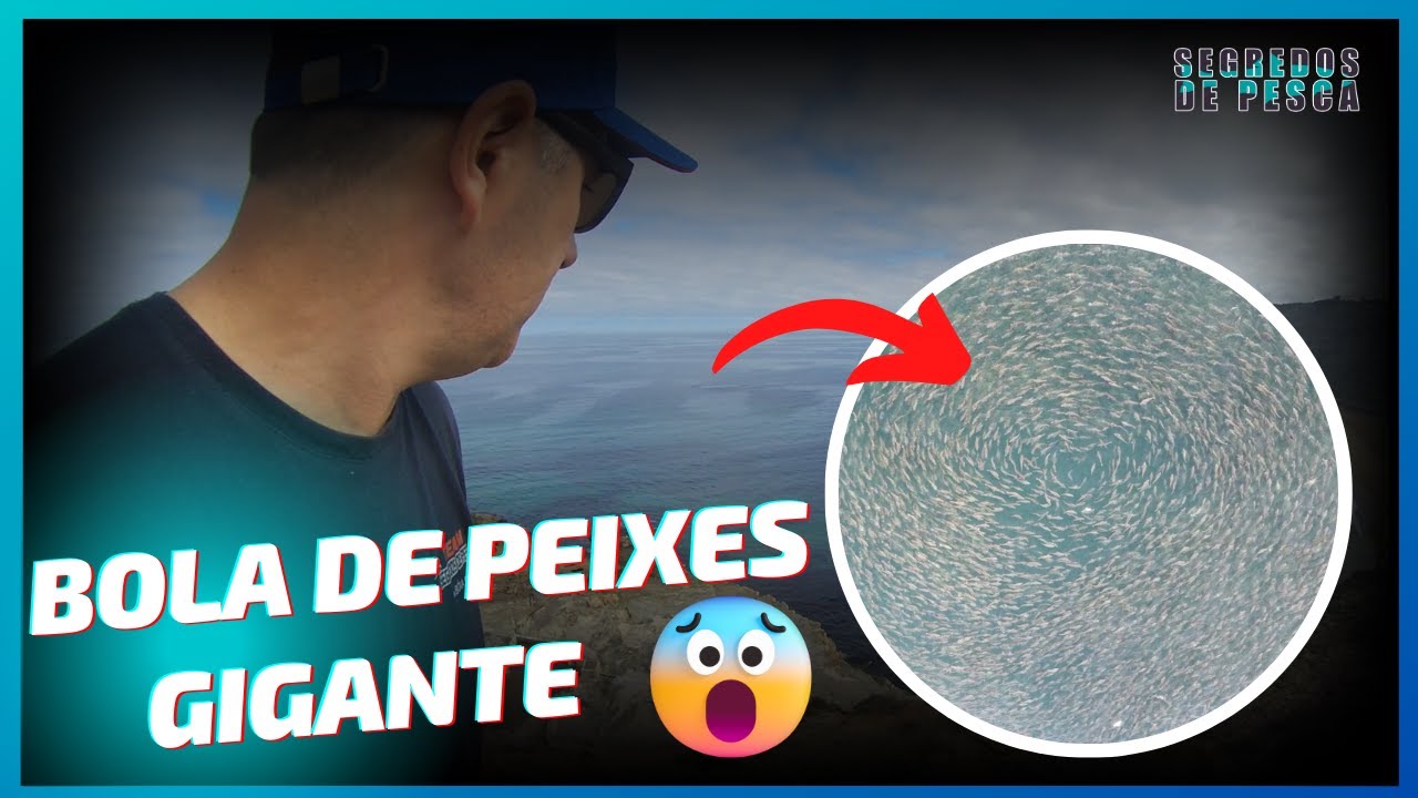 Bola de peixes/ Fish ball - YouTube