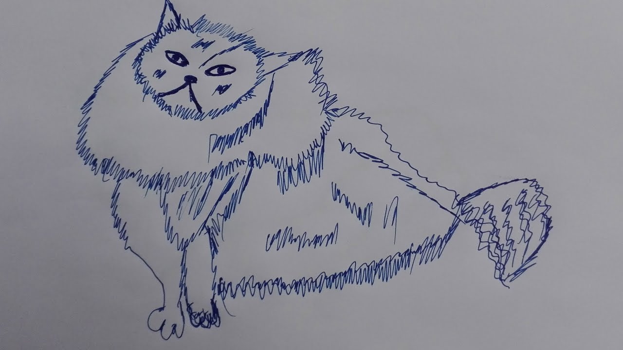 How to draw Turkish angora-turkish angora cat-turkish angora ...