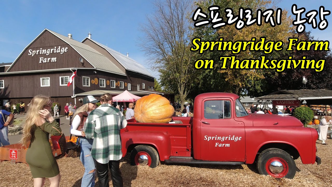 [4K] Springridge Farm - Milton Ontario Canada 스프링리지 농장 - YouTube