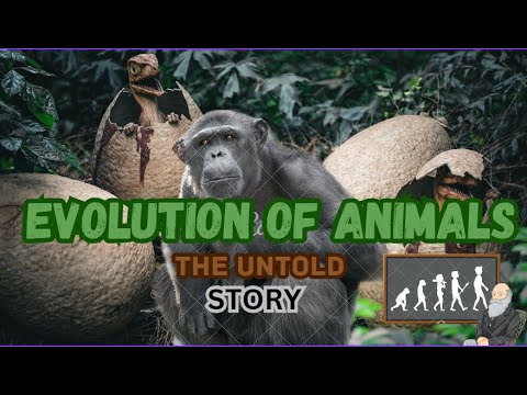 UNVEILING THE WONDERS/THE EVOLUTION OF ANIMALS 🌿🦁. - YouTube