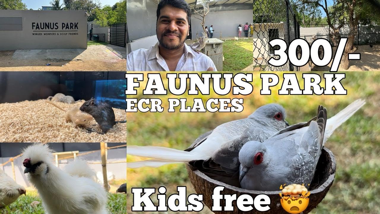 Discover Faunus Park: Unveiling A Hidden Gem In Ecr Panaiyur! - YouTube