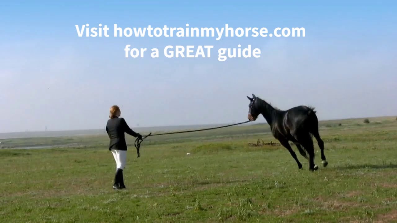 How to Ride a Horse Smoothly - A Beginner's Guide on how to Ride a ...