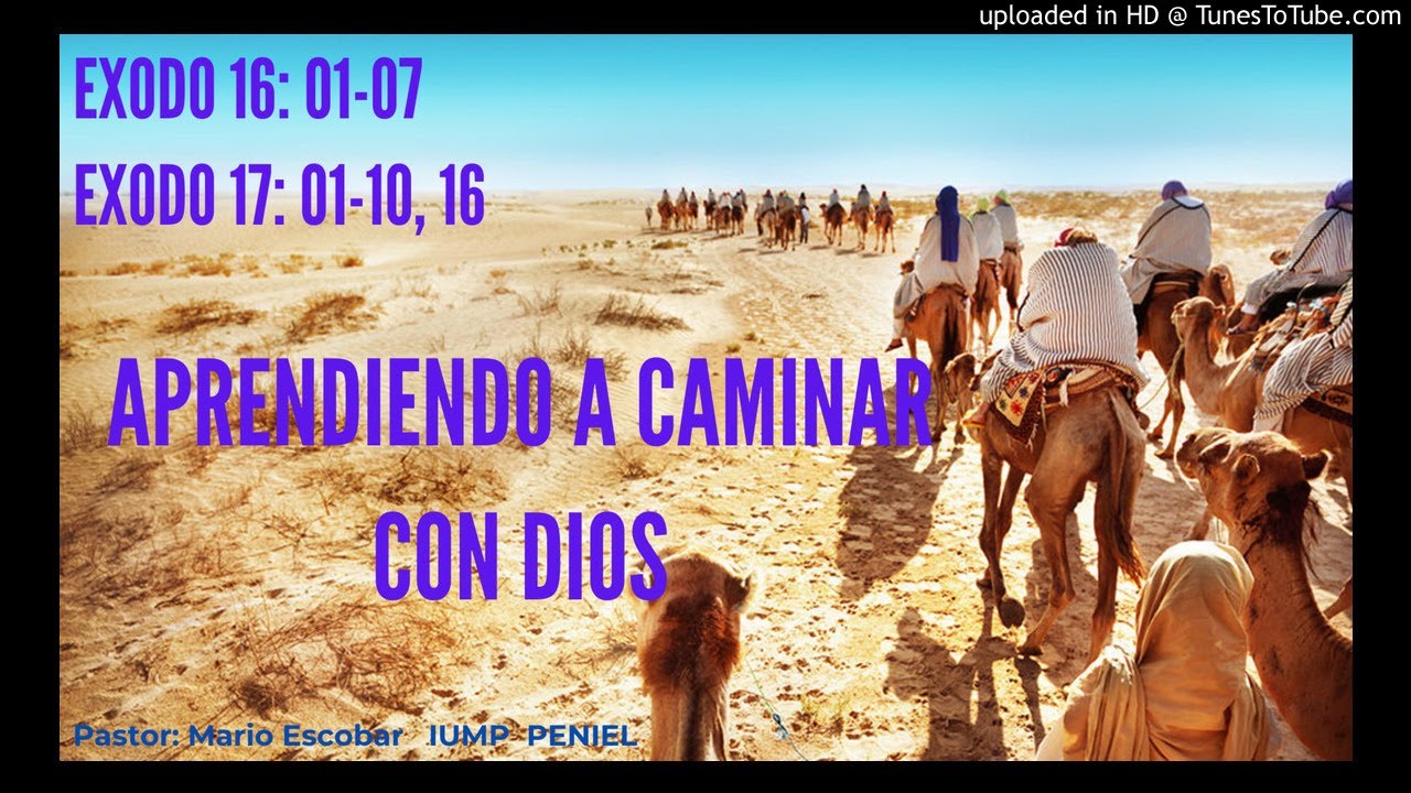 Exodo 16; 1-7 _ Exodo 17; 1-10, 16_ APRENDIENDO A CAMINAR CON DIOS ...