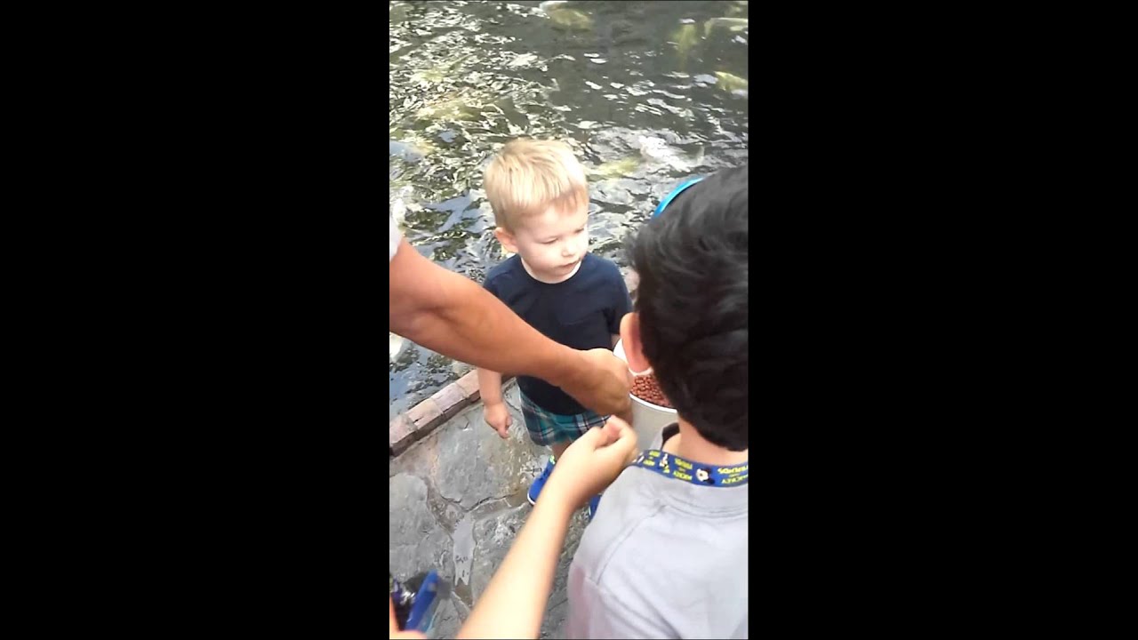 big red gooey fish - YouTube