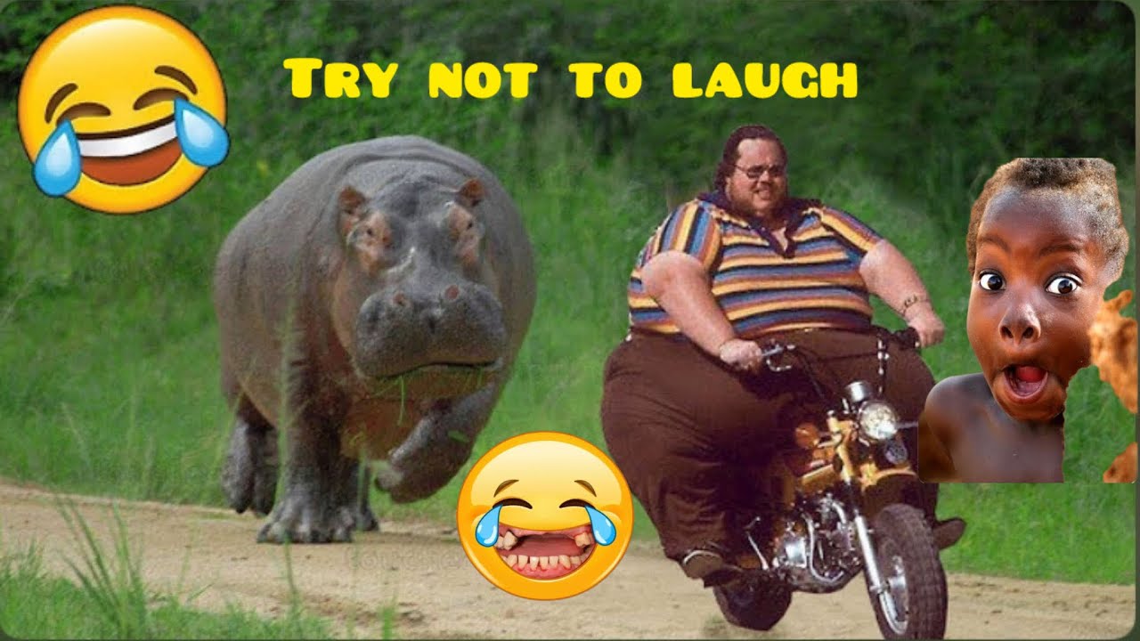 TRY NOT TO LAUGH CHALLENGE! Top funny videos episode 1 - YouTube
