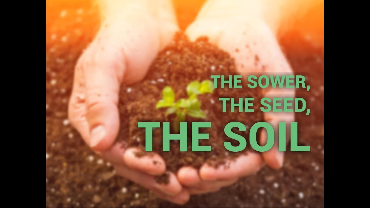 The Sower || The Seed || The Soil Part 2 - YouTube