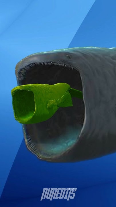 Bloop or Loop? - YouTube