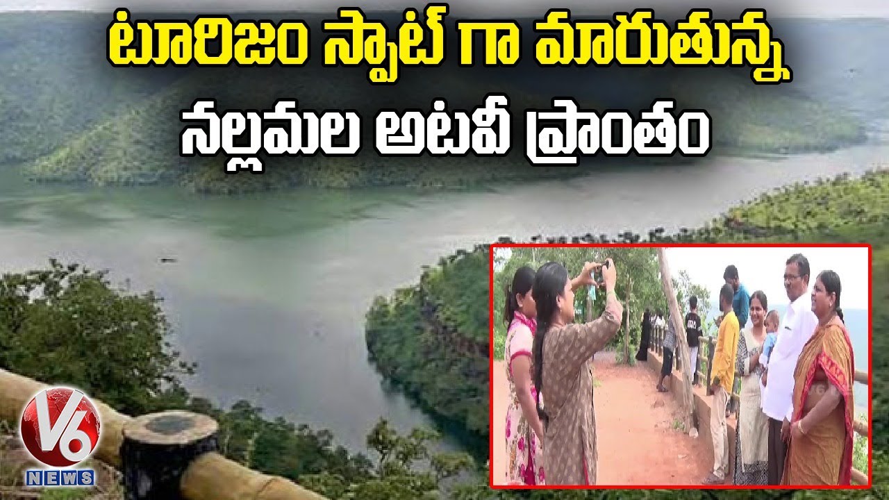 Nallamala Forest Turns To Tourist Spot | V6 News - YouTube
