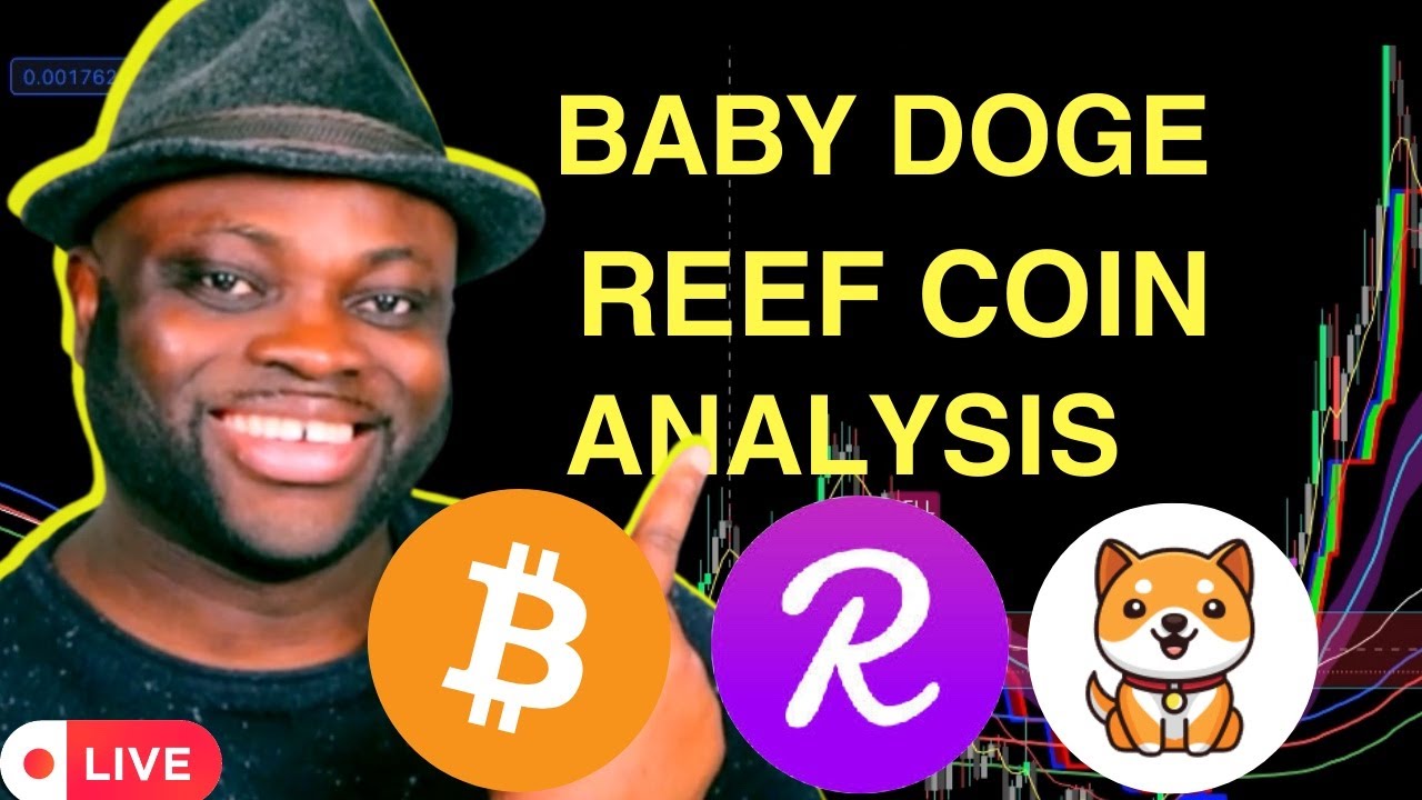What's HOT in Crypto Today? Baby Doge, REEF, and Bitcoin! - YouTube