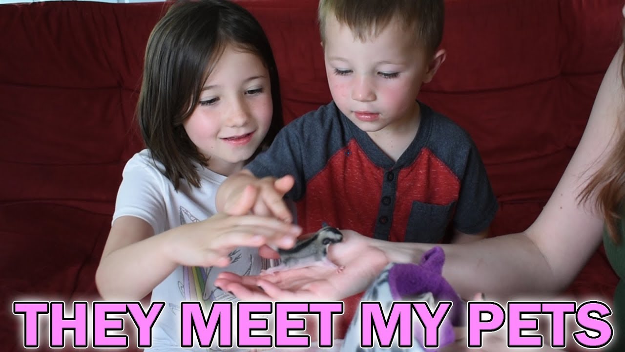 Kids Meet My Pets - YouTube