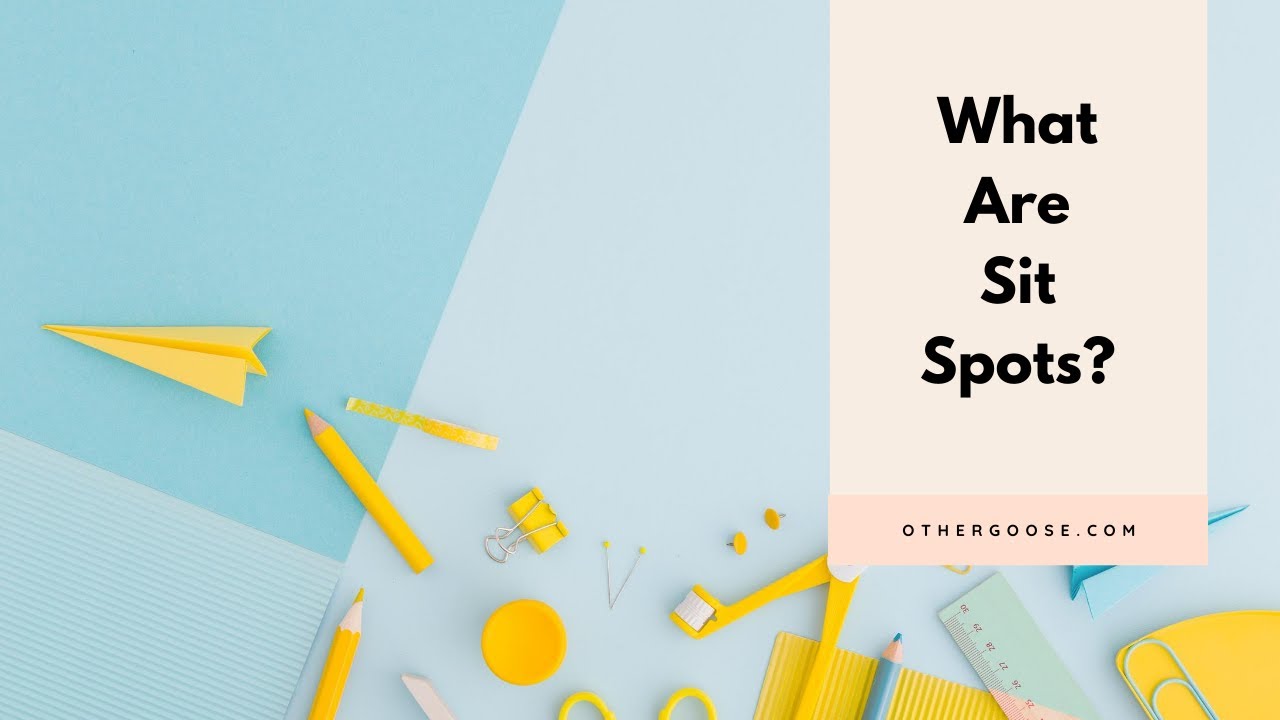 What are sit spots? - YouTube