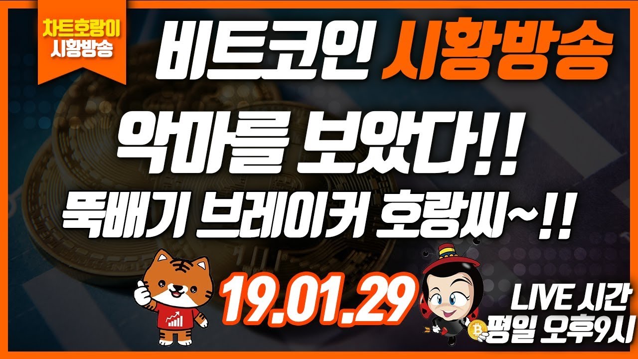 비트코인 진실을 알려드림 해외선물 코인분석 리플 이더리움 비트코인 이더리움클래식 차트강의 차트교육 비트코인
