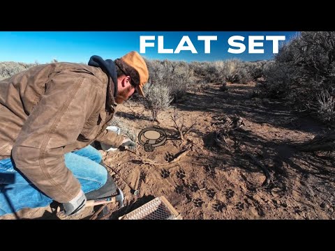 I Caught Something | Flat Set | Learning to Trap - YouTube