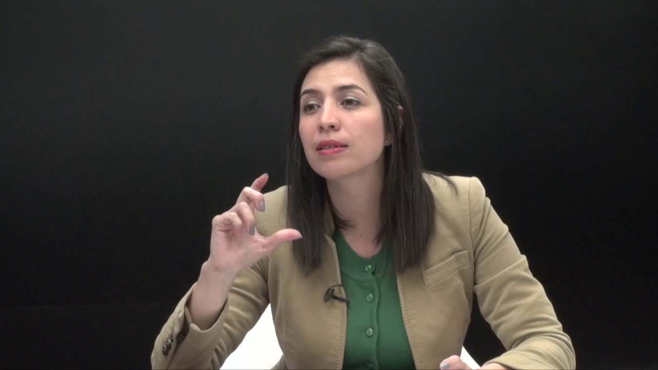 ENTREVISTA ARQ DAVID LOPEZ A DANIELA CHACON..... - YouTube