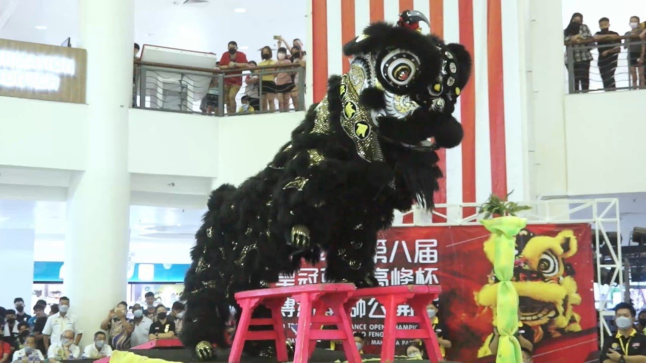 Traditional Lion Dance - Soaring Phoenix Dragon & Lion Dance ...