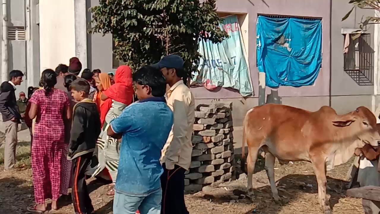 Bhestan.,Surat city.,Gujarat.,INDIA - YouTube