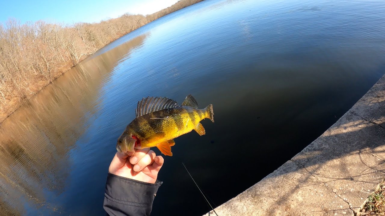 Early Spring Fresh Water Fishing - YouTube