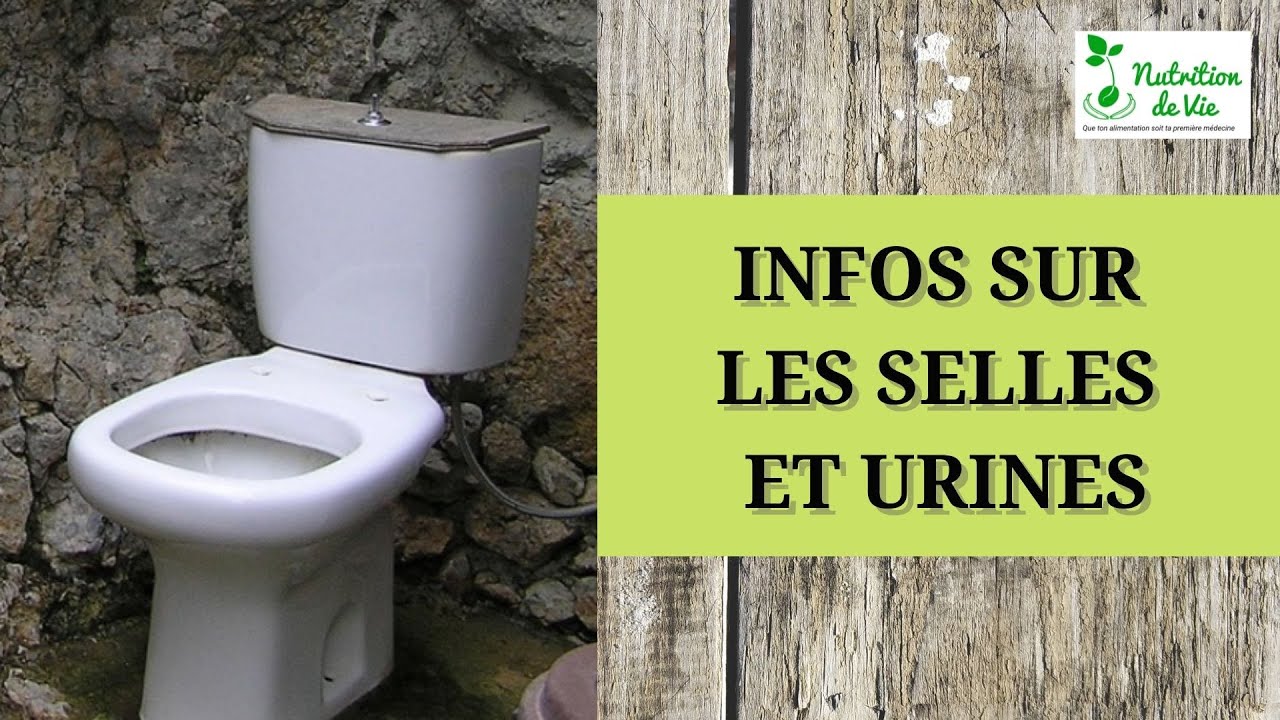 Infos sur les selles et urines à connaître - YouTube