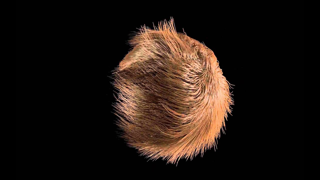 Wind hair Animation - C4D - YouTube