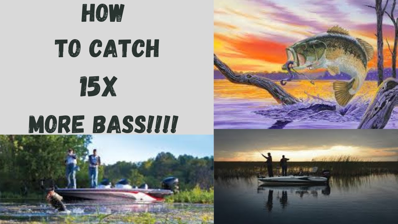 Catch 15x MORE Bass / Great Tips and Tricks to catch more Bass - YouTube