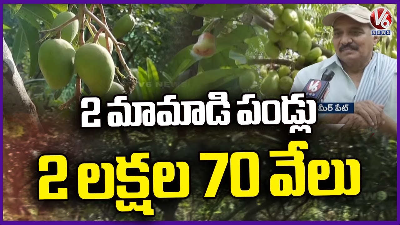 Unique Farming: Farmer Practicing Farming By Cultivating 10 Acres Of ...