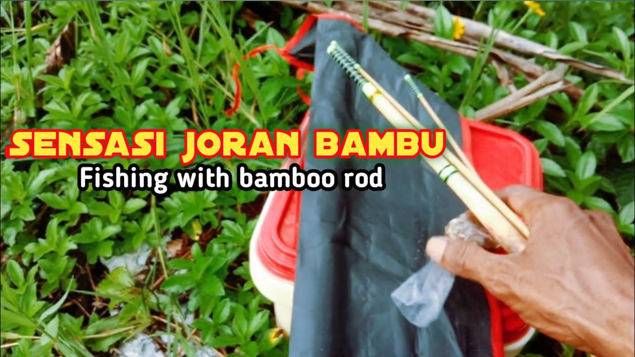 Mancing dengan joran bambu || Fishing with bamboo rod - YouTube
