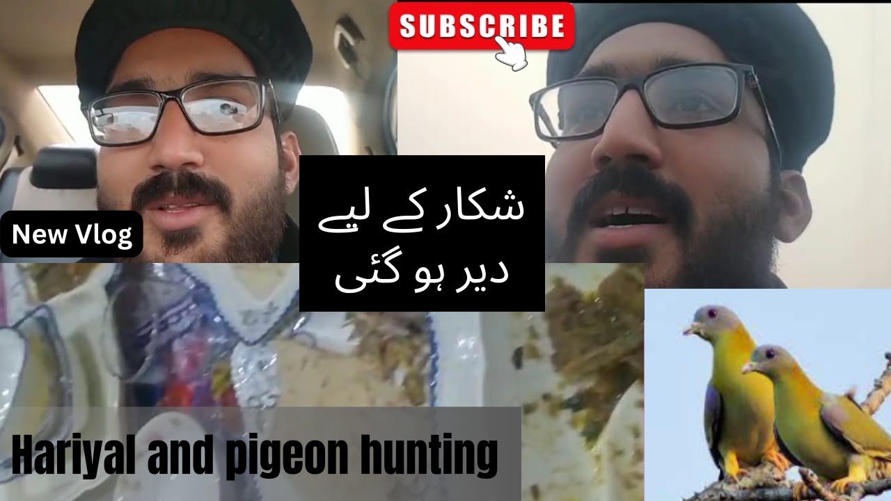 Aj Shikar Par Gay | Pigeon and Herial Hunting | Aslam Sani V | New Vlog ...