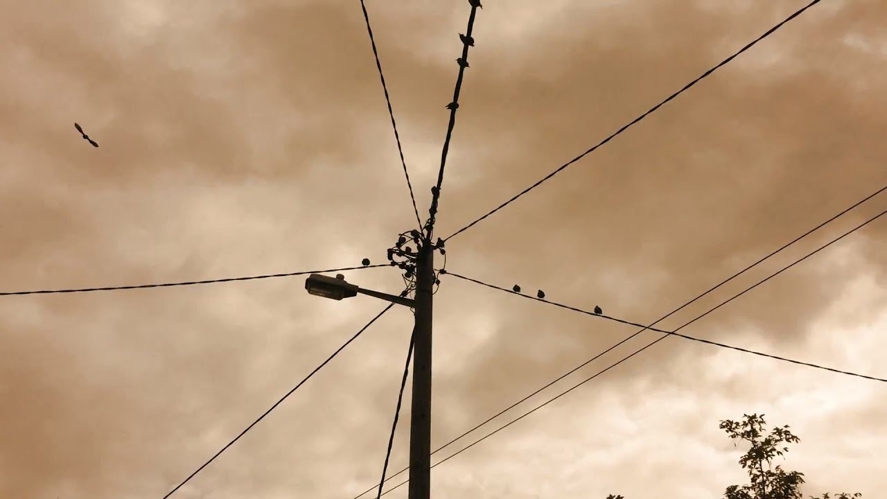 The Ballad of Denis Moloney - Jolie Thomas Short Film - YouTube