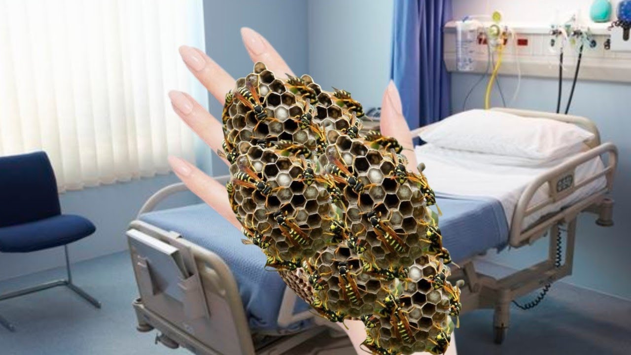 ASMR/Satisfying Trypophobia,worms,bees removal animation#rainbowasmr# ...