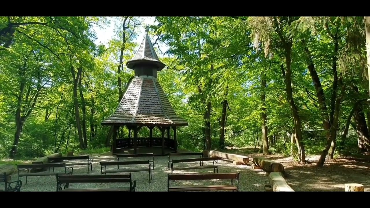 Maria Doina Coman -muzica,versuri,voce Daniel Luca - YouTube