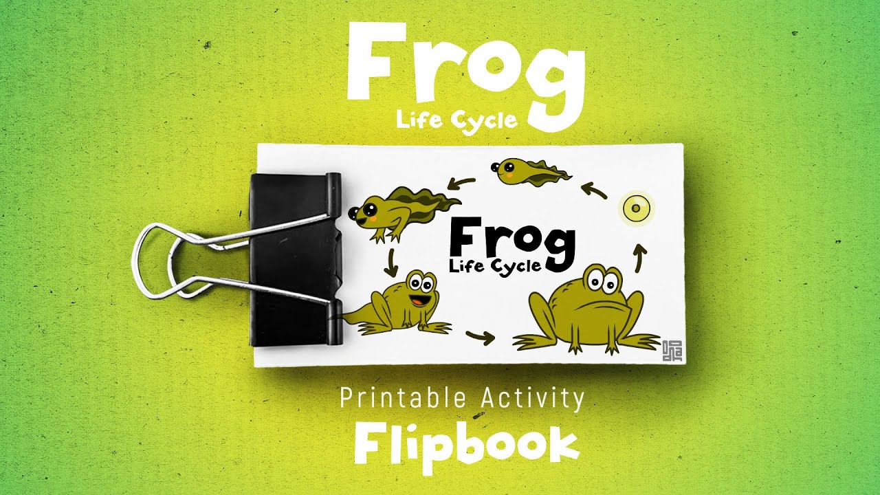 Instruction: Create Frog Life Cycle Animated Flipbook | Printable ...