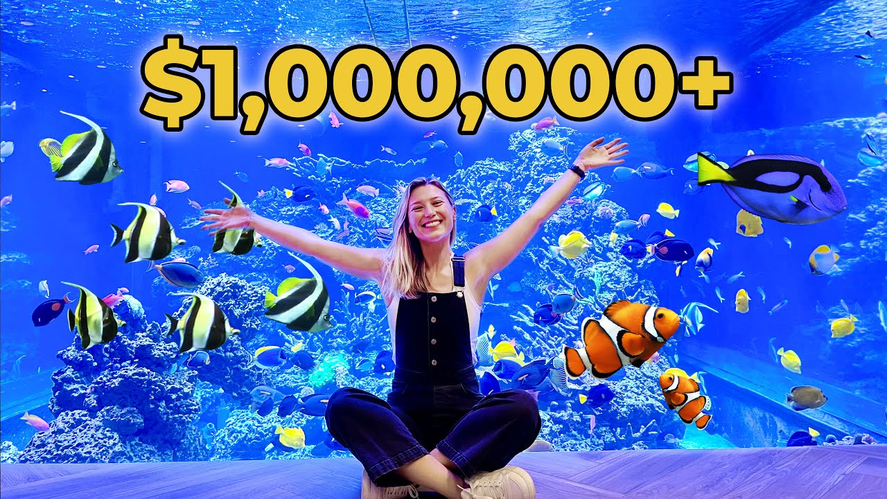 This Is A MILLION DOLLAR Fish Tank - YouTube