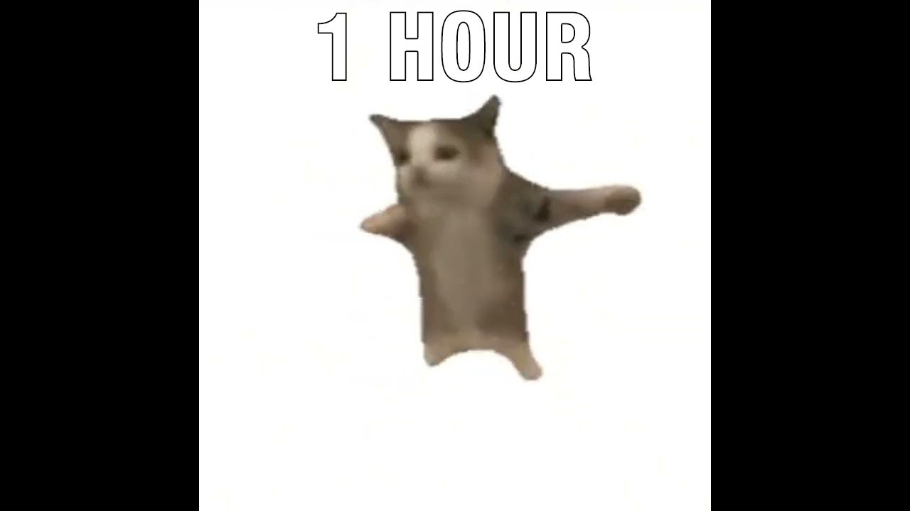 Cat Dancing Gif And A One And A Two