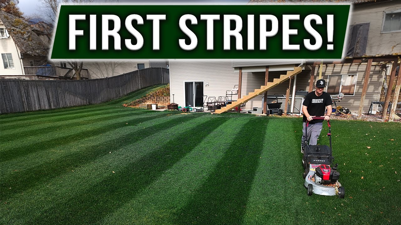 First Stripes on BLACKOUT TTTF! - YouTube