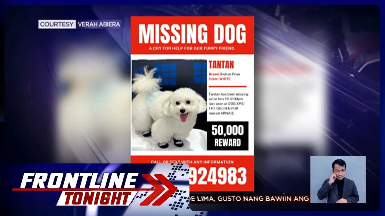 Alagang aso, nawala sa grooming shop sa Makati City | Frontline Tonight ...