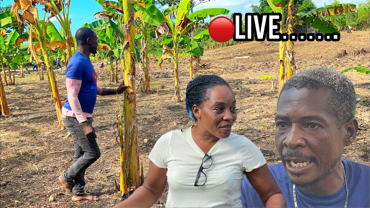 🆘LIVE👉 ME KOMAN JADEN JPK A LEVEL JODIA - YouTube