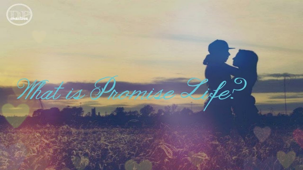 Who are we???What is PROMISE LIFE???? - YouTube
