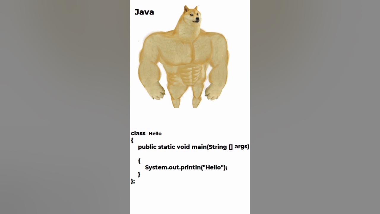 Java Vs Php Java Vs Python Meme Programminglanguage Funny Youtube