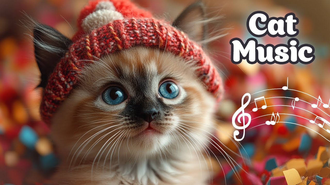 🎄 Relaxing Christmas Music for Cats with Purr Sounds for Soothing Sleep ...