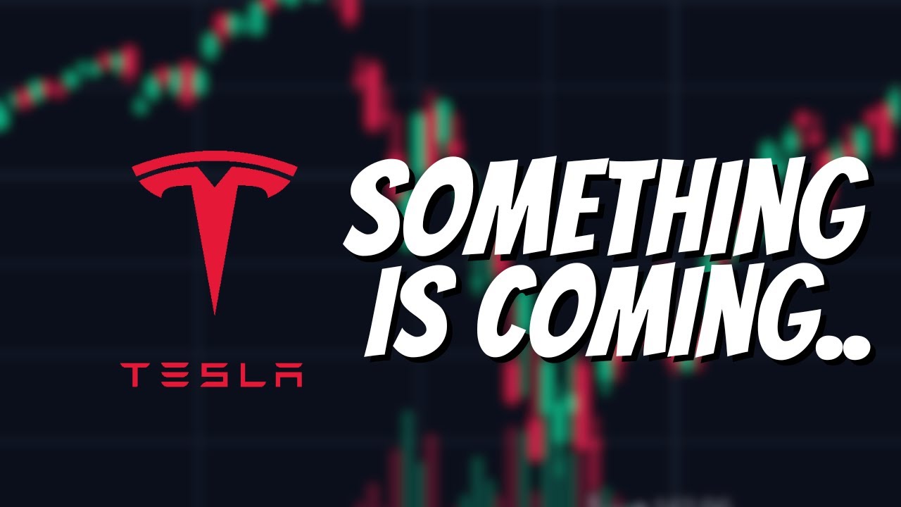 The Biggest Short Squeeze in Years.. (Tesla Stock Expectations) - YouTube