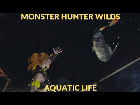 Blind Perch and Glass Parexus (Plenty Daytime) MH Wilds - YouTube